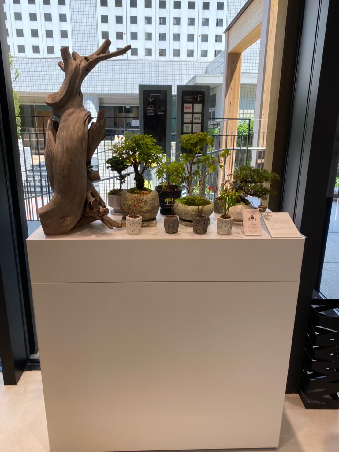 HARAJU Cross JAPAN MASTERY COLLECTION_est | 大川インテリア振興センター